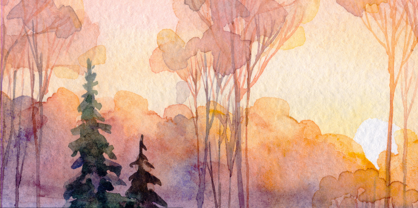 New Horizons: The Orthodox Presbyterian Church