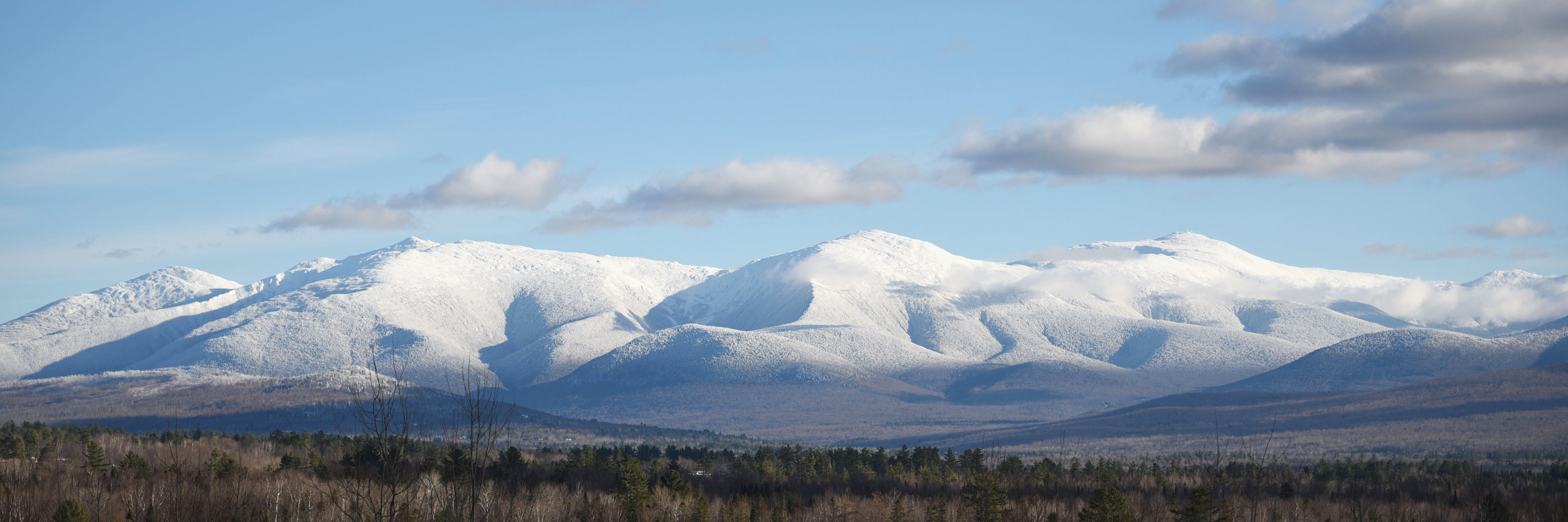 Ordained Servant: The Orthodox Presbyterian Church